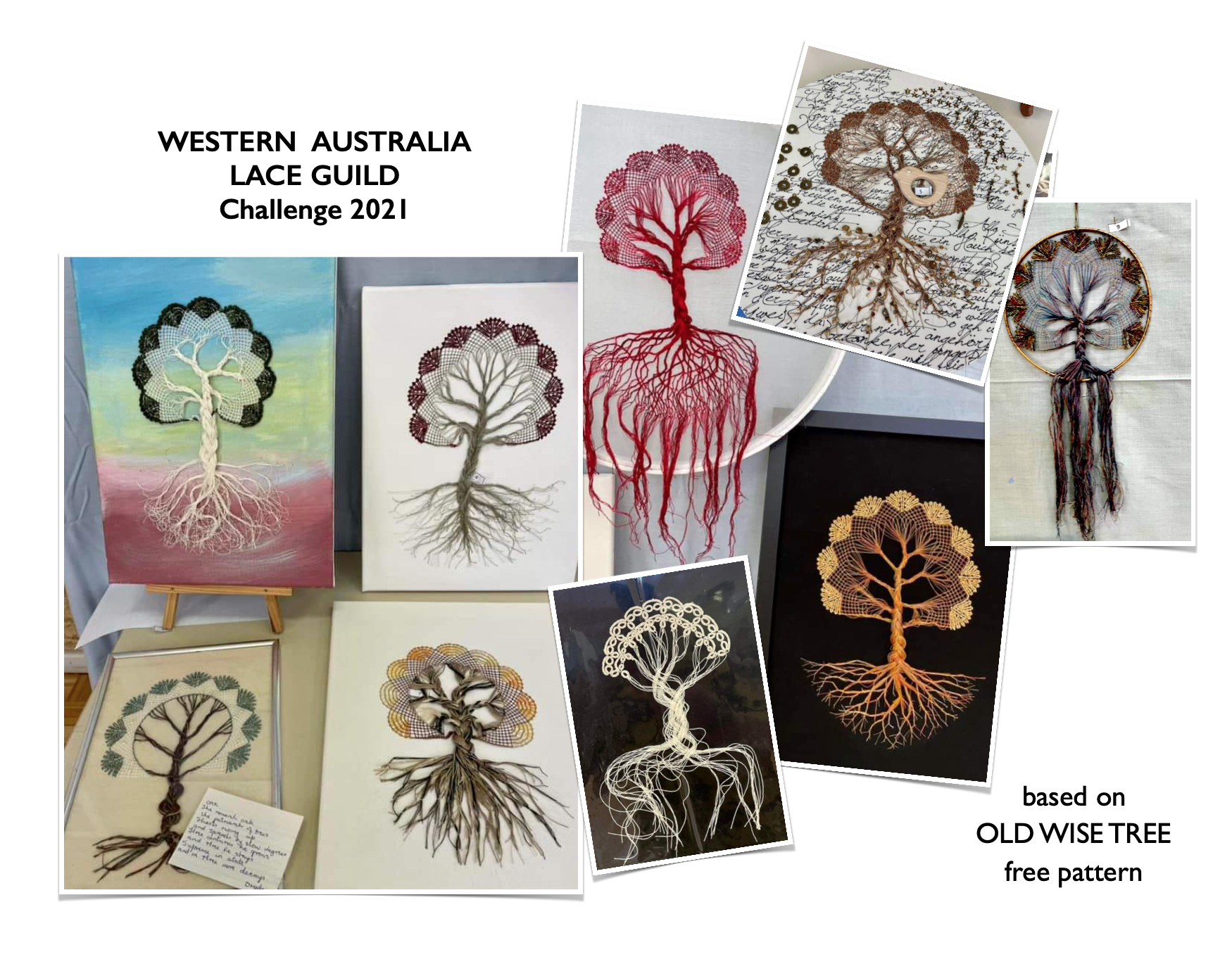 Old Wise Trees in Australia | Lenka's Way of Lace