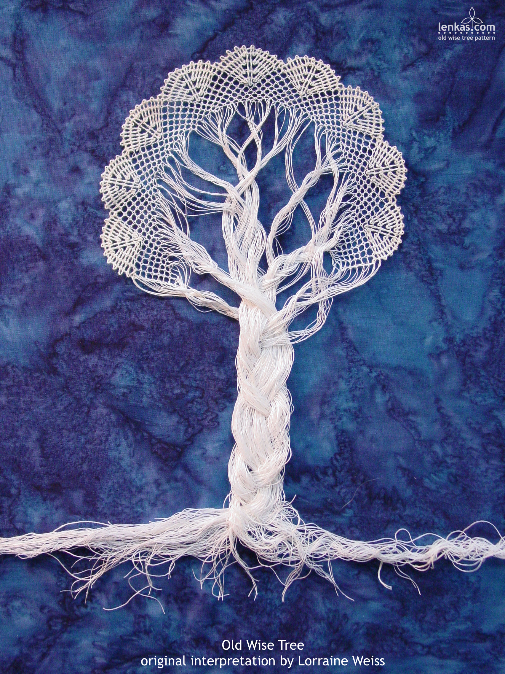 Old Wise Trees in the United States of America | Lenka's Way of Lace